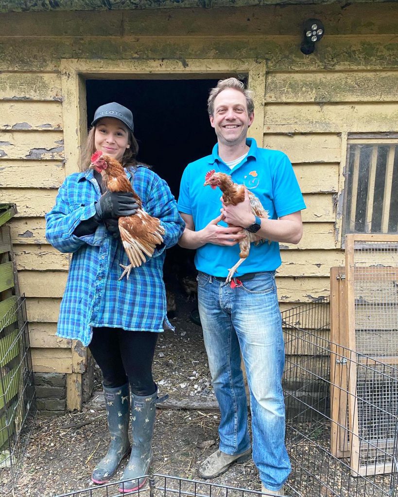 Fresh Start for Hens - Backyard Poultry